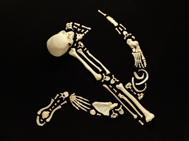 Art Made From Human Bones | Amusing Planet